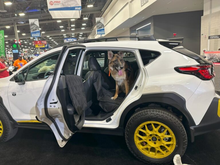 The Perfect Dealer Package for Ruff Roads | THE SHOP