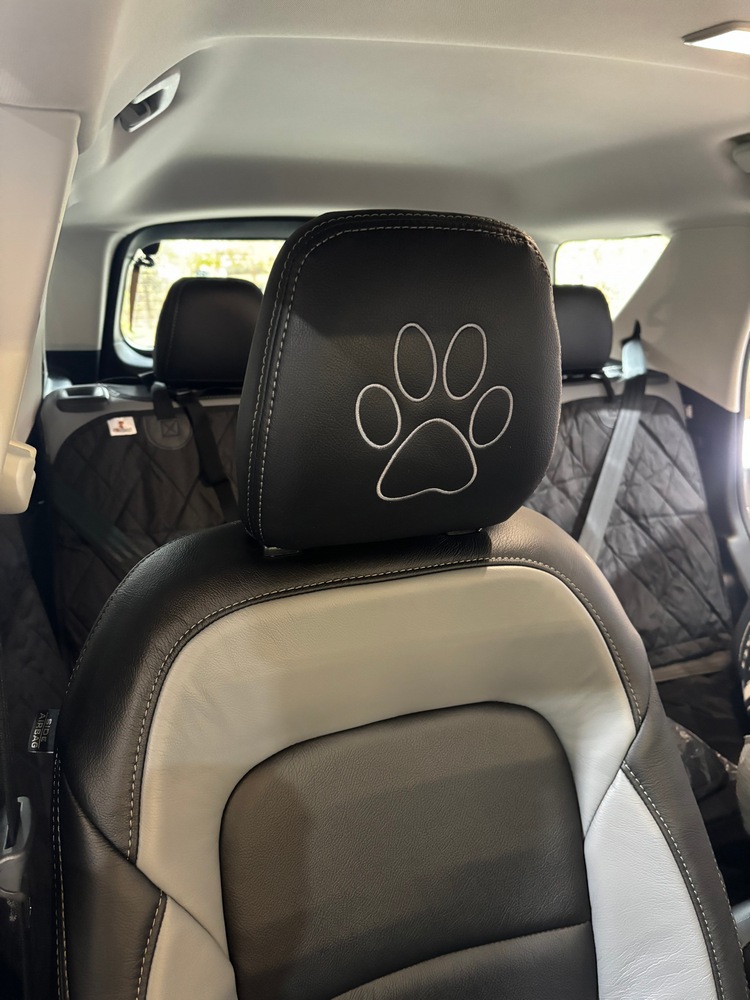 The Perfect Dealer Package for Ruff Roads | THE SHOP